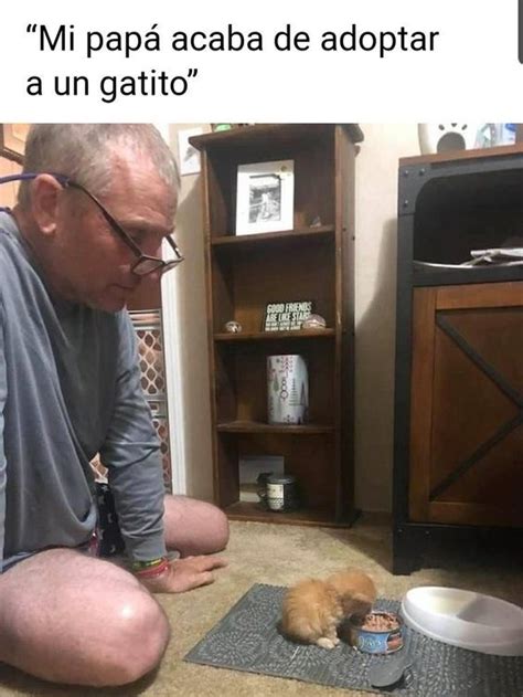 50 Hydrogen Peroxide Uses We Wish We Knew Sooner Imagenes De Animales