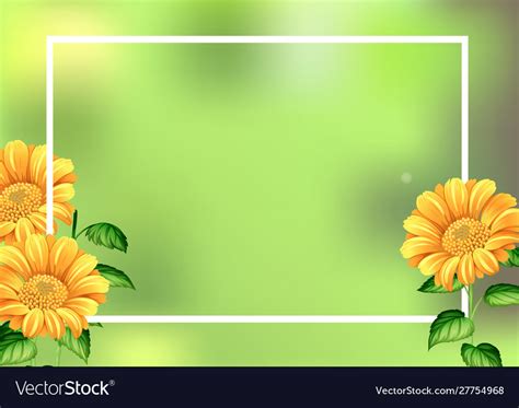 Yellow Flower Border