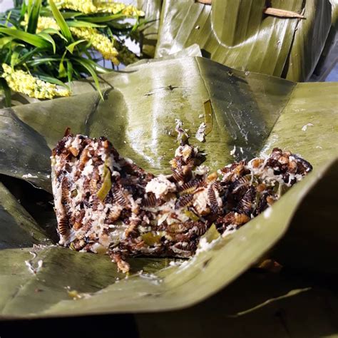 Ragam Olahan Laron Serangga Di Musim Hujan Tugumalang Id