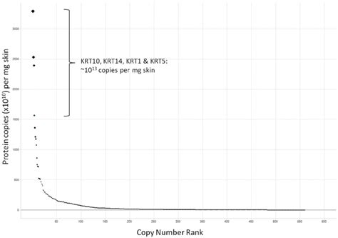 Plot Of Protein Abundance Versus Abundance Ranking Estimated Copy