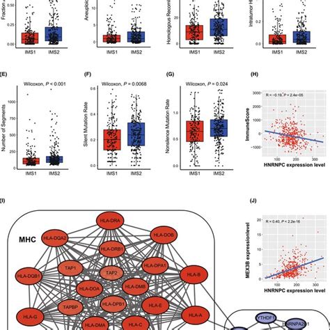 Immune Landscape Of Immune Microenvironment Subtype Ims Clusters