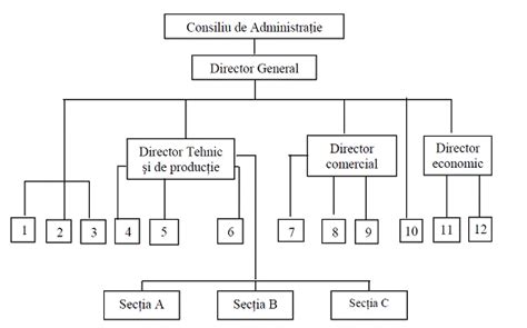 Tipuri De Structuri Organizatorice