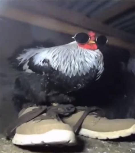 Ok Is It True That Asuka Kasen Bi Rgta