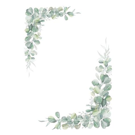 Eucalyptus Leaves Frame Clipart Greenery Watercolor Border Green