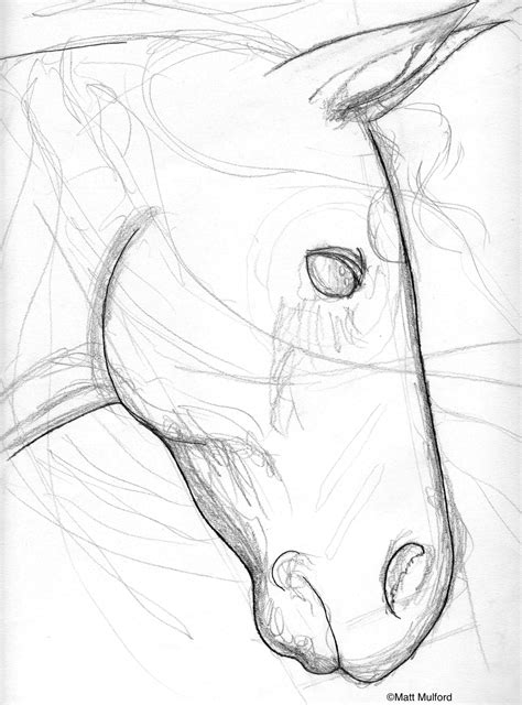 Basic Drawing Lansing Art Gallery And Education Center