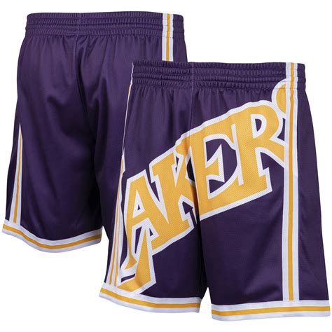 Mens Los Angeles Lakers Mitchell And Ness Purple Hardwood Classics Big