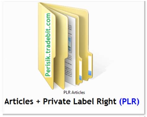 Plr Education Articles Article Analyzer Tradebit