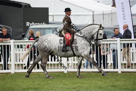 H451144 2023 1st Class Images