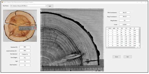Analyzing Tree Growth Rings