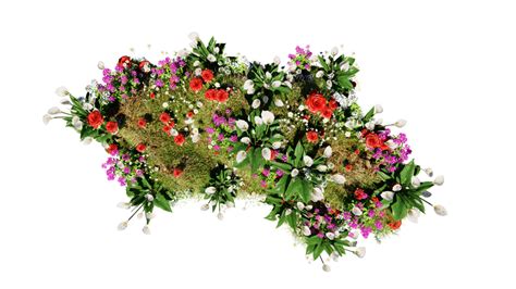 Flower Top View Pngs For Free Download