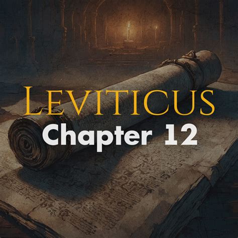 Leviticus Chapter 12 Detailed Bible Study And Analysis Devotion