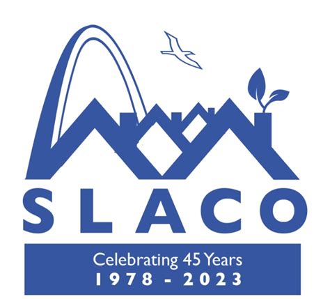 Sr Mary Kay Dolan First Paid Director Of Slaco Dies Slaco