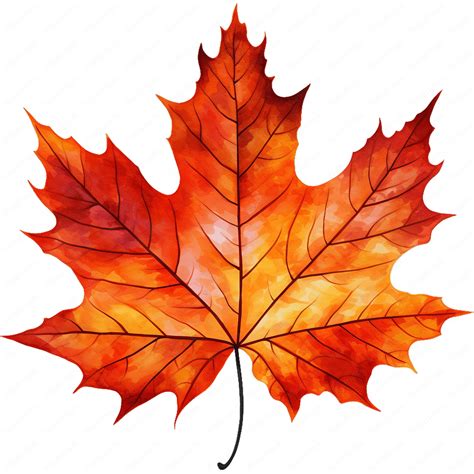 Maple Leaf Clip Art Fall Leaves Clip Art Beautiful Autumn Clipart 3