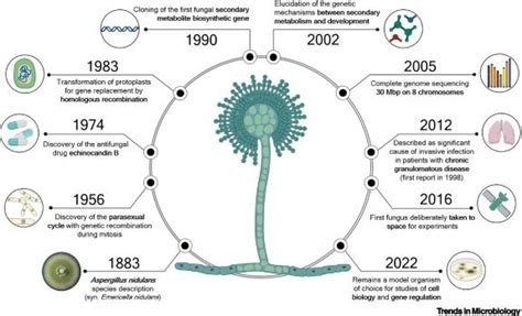 Jo Azavedo On Linkedin Aspergillus Testing Antimicrobial Packaging Cannabis Labs