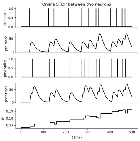 Brain Sciences Free Full Text Spiking Neural Networks And Their Applications A Review