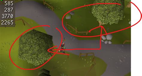 Oak Tree Cutting Spots R2007scape