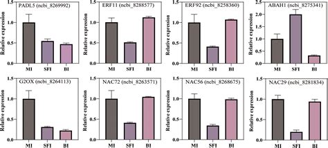 Phyton Free Full Text Transcriptome Analysis Of Inflorescence