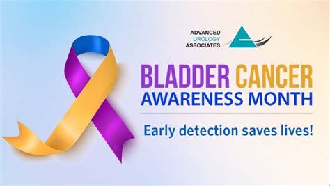 Women Bladder Cancer Bladder Cancer Melbourne North Eastern Urology