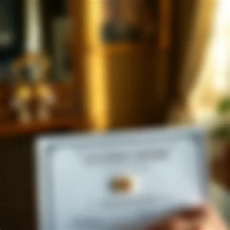 Jewellery Assessors Key Players In Gemstone Valuation