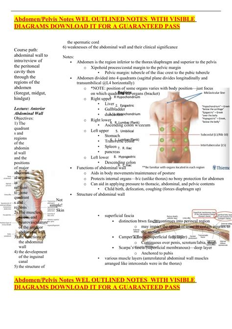 Abdomenpelvis Notes Wel Outlined Notes With Visible Diagrams Download