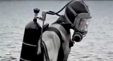 Scuba Girl In Aga Mask And Drysuit