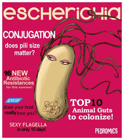 Bacterias Actuaciencia Flagelos Sexis En 10 Días