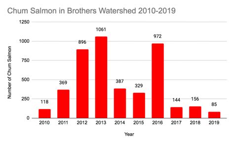 The Decrease In Salmon Species Between The Years 2010 2019 In The