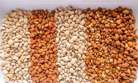 Rishama Aboki Solomon On Linkedin Agribusiness Agriculturelife