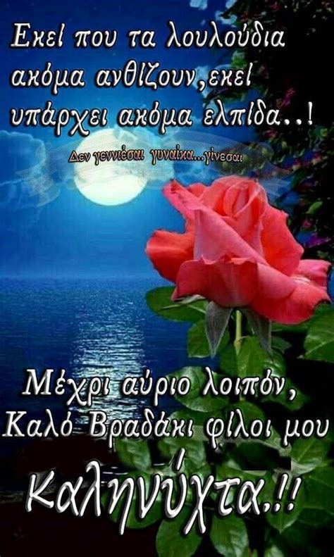 Inspirerende Sitater Om Våren Greek Good Night Message With Rose