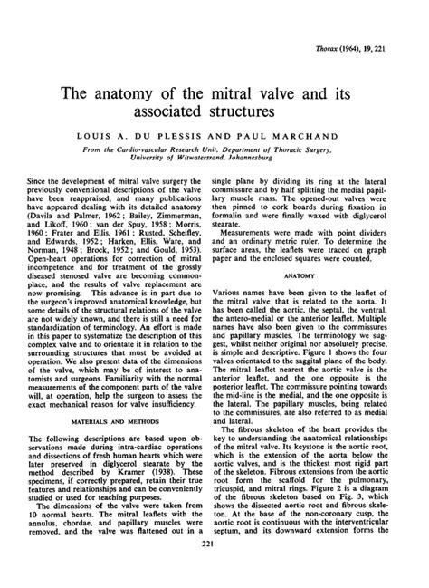 The Anatomy Of The Mitral Valve And Its Associated Structures Thorax