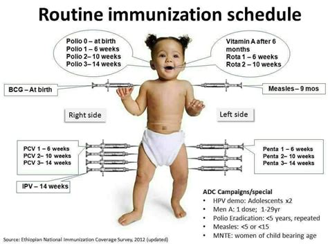 Routine Immunization Schedule Health And Medical Information Facebook