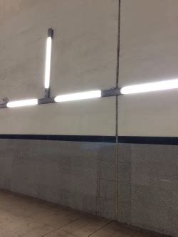 Anatomika Tumblr Com Post 121285042781 Porn Photo Pics