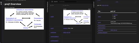 Bug Report Rendering Images In Value When It Also Contains Text · Issue 1152 · Blacksmithgu
