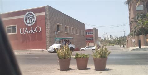 Universidad Autónoma De Occidente Mazatlán 18 De Junio De 2023