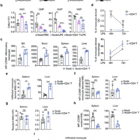 Cd4 T Promoted Monocytes Differentiation And Dampened Resident