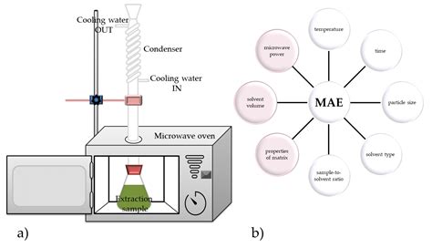 Flavonoids Extraction Protocol At Jesse Lyles Blog