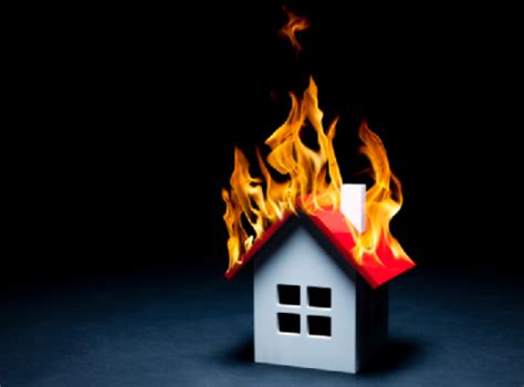 Materiale De Constructii Cosmibor Construct