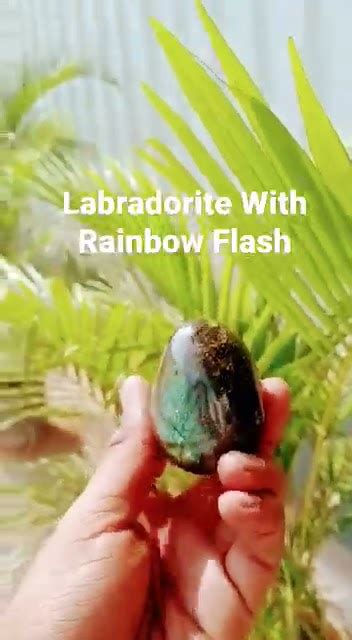 Labradorite Rainbow Flash Egg Sex Indigestion Fertility Power Male