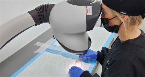 Hair Doctors In Sydney Are Utilising Mantis Microscope To Organise And