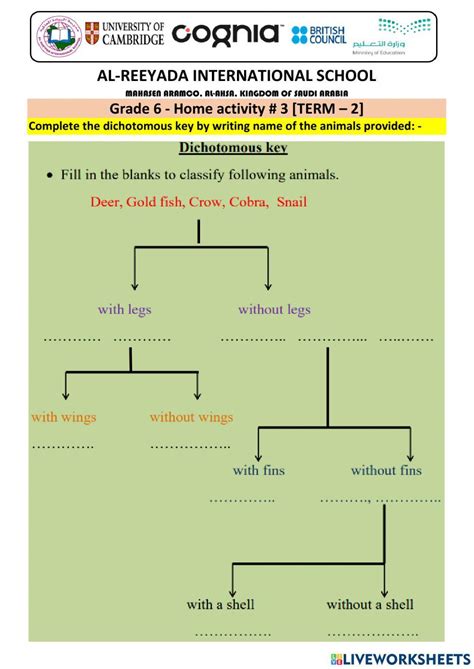 Dichotomous Key Examples