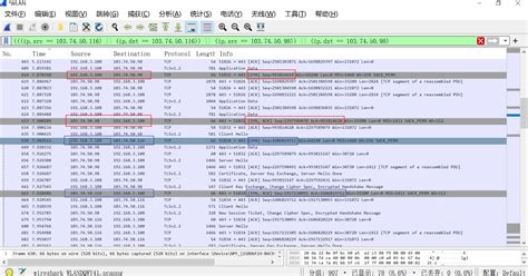 如何使用wireshark软件分析tcp协议wireshark显示协议 Csdn博客
