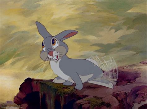 Image Bambi Thumper Adult  Disneywiki