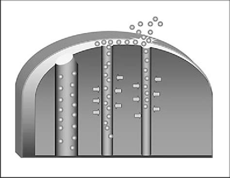 Model Of Cytochrome C Release Via The Ptp Events Proceed From Left To