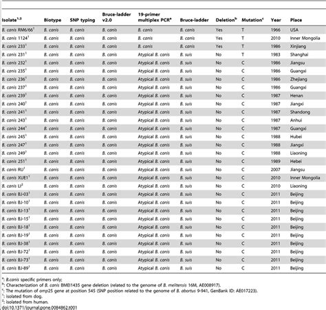 Brucella Canis Isolates And Characterization Using Different Molecular Download Table