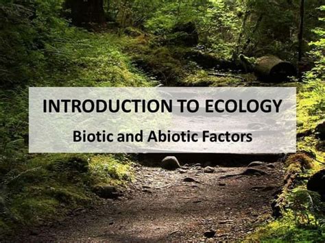 Introduction To Ecology Pptx