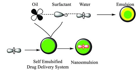 Pictorial Representation Of A Self Emulsified Drug Delivery System And