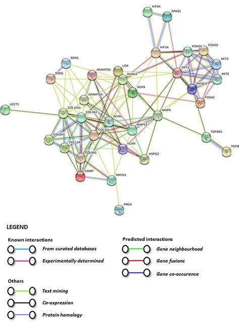 String Database Analysis Based Upon Genes And Proteins Under The