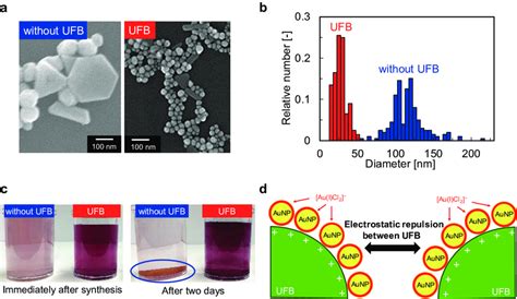 Effect Of Ultrafine Bubbles Ufb On Sonochemical Synthesis And Download Scientific Diagram