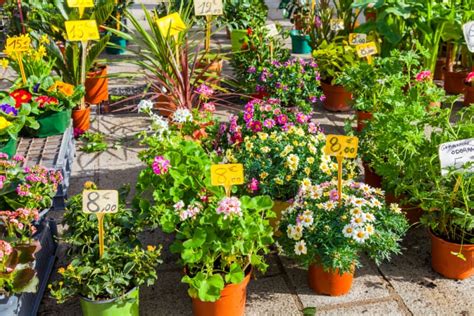 How To Conduct A Plant Sale And Other Ways To Make Money From Your