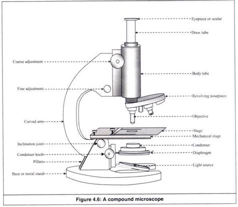 Simple Microscope Images